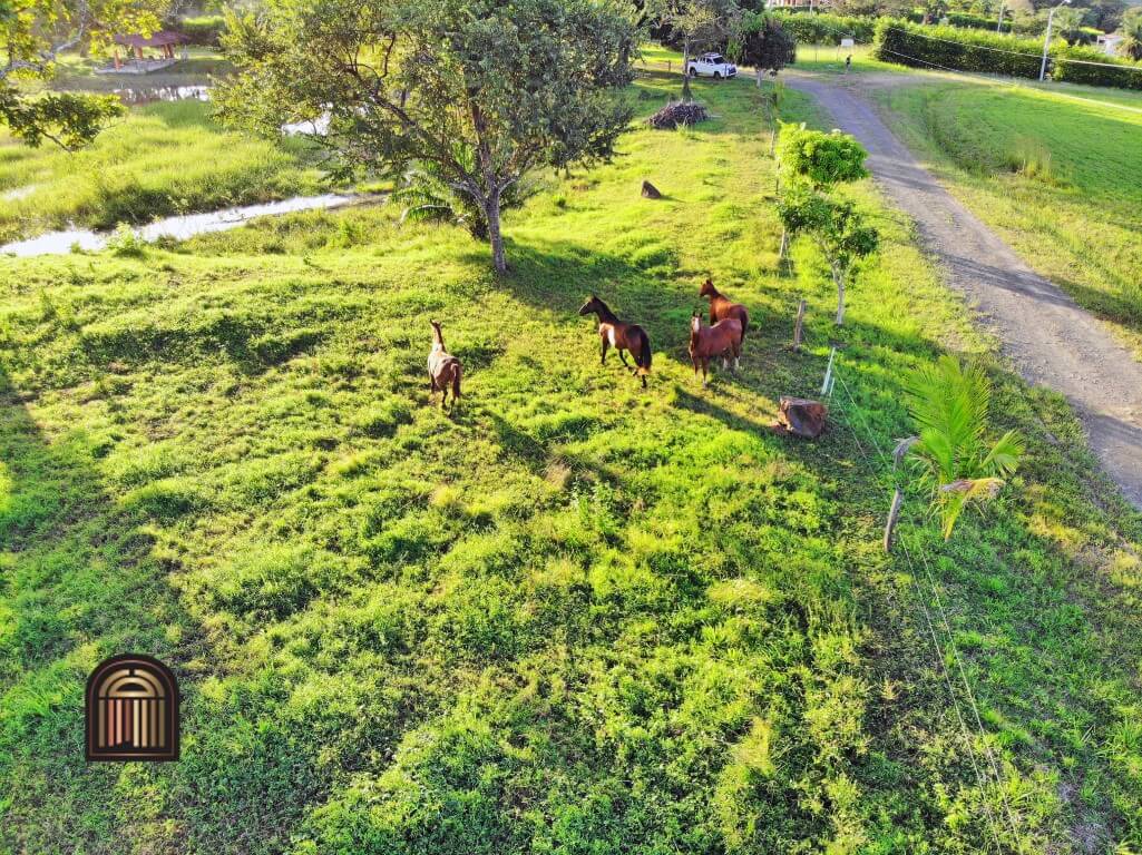 Equus Village Community and Development in Pedasi Panama - Open Doors ...