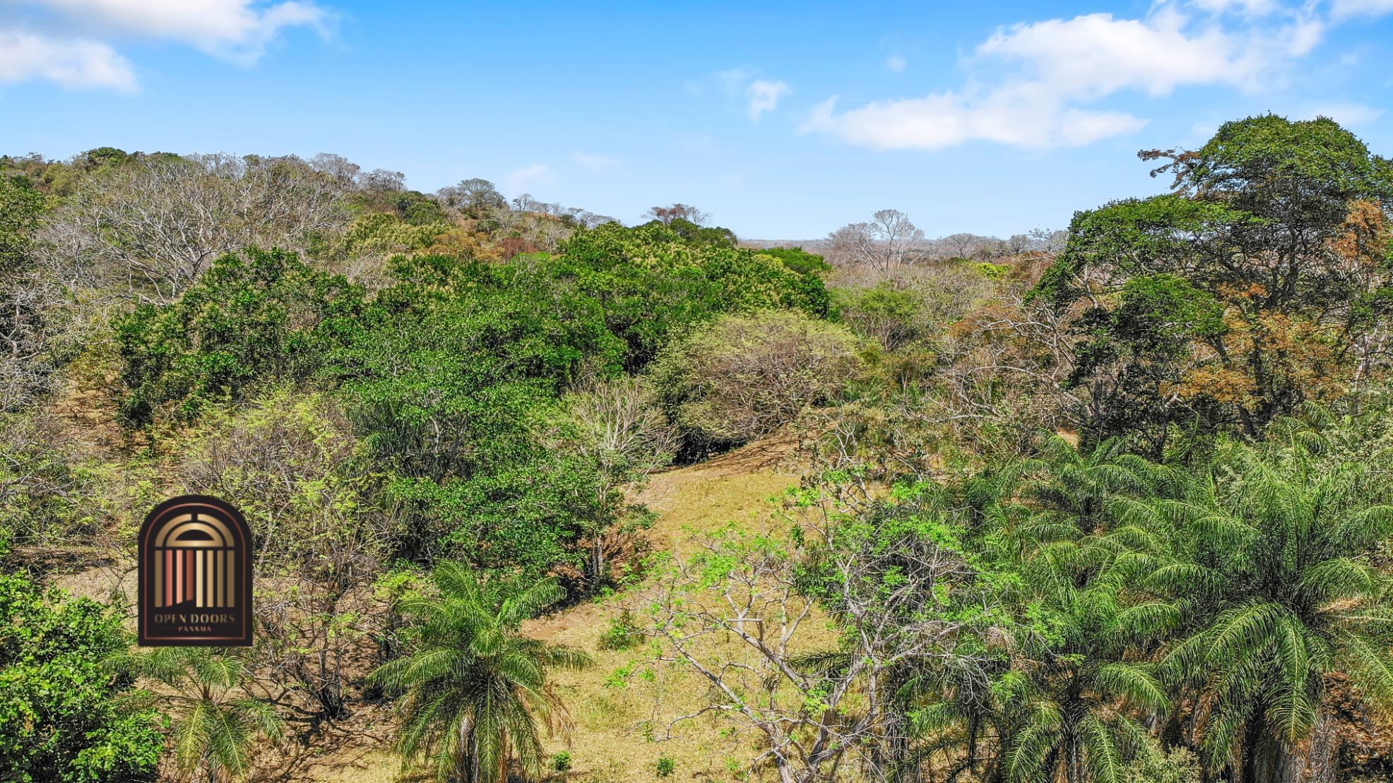 La Jamina Lots - Open Doors Panama Estates | Luxury Panama Properties ...